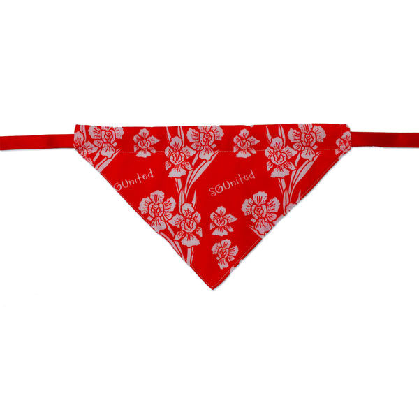 Dog Scarf – Singapore Fashion Runway